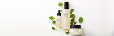 Official Incellderm Online US Store