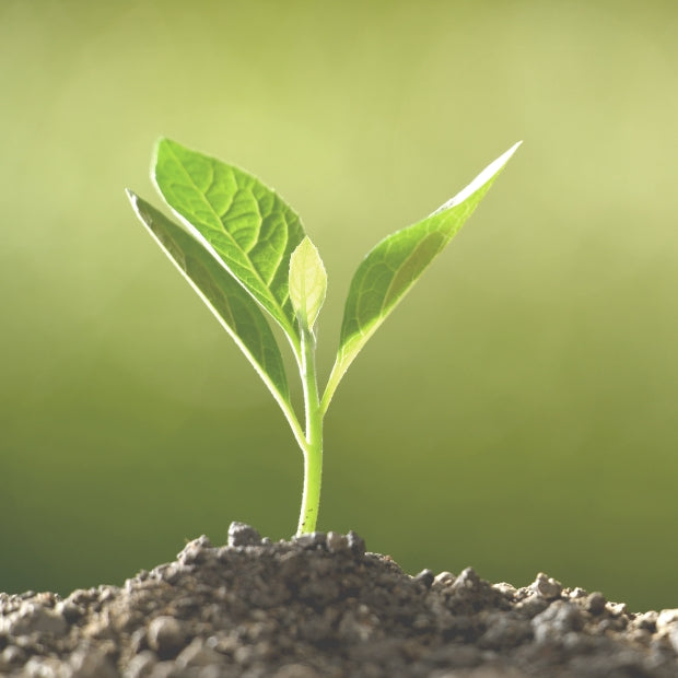 Everything you want to know about RIMAN